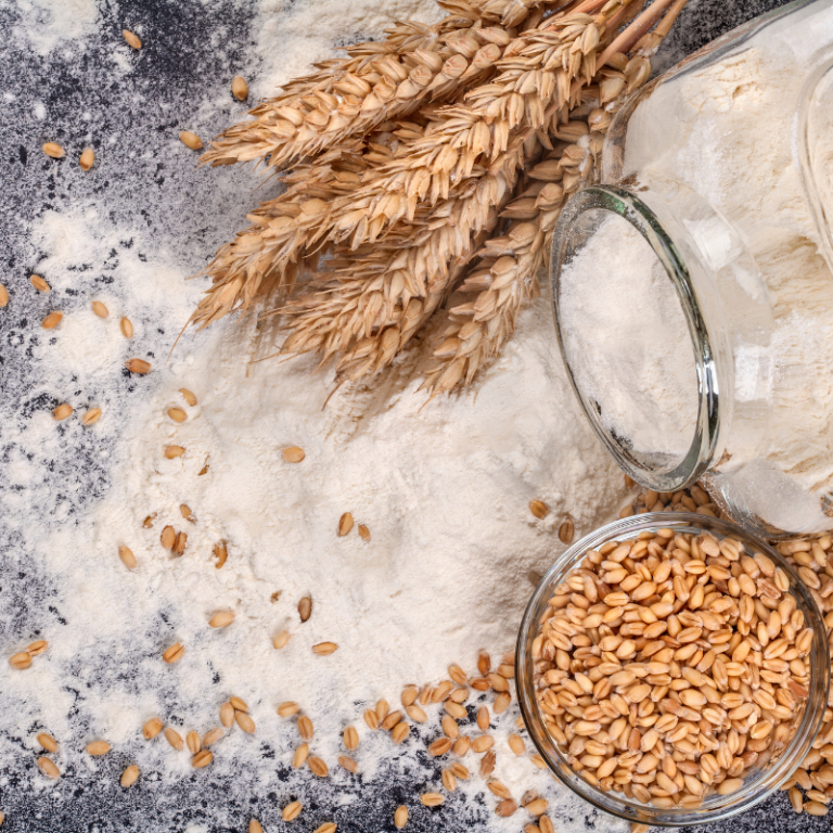 types de farines - Mon Fournil